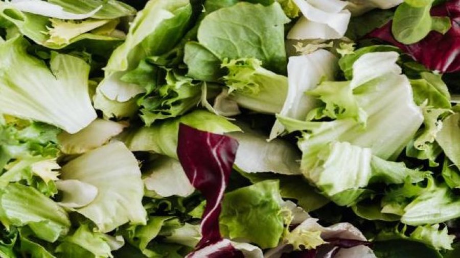 Los tipos de lechuga y sus valoresConsumidora