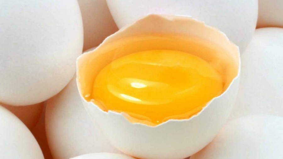 El Instituto de Estudios del Huevo publica “Las 100 Preguntas sobre el ...